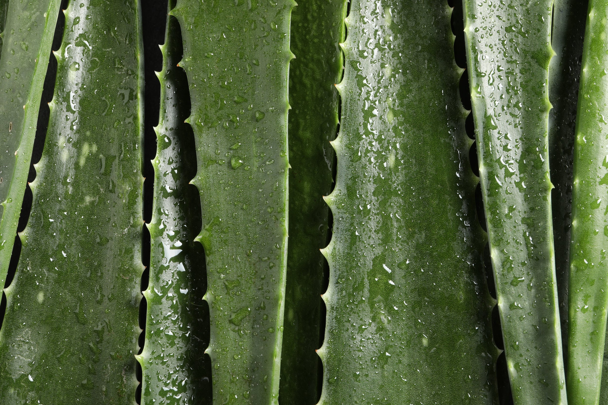 Natural Ingredients – Luv Ur Skin